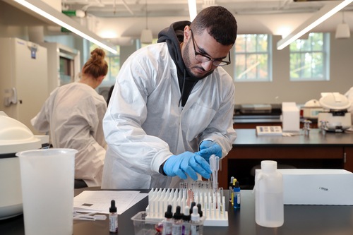 Medical Laboratory Science (MLT to MLS) | Bachelor’s | BGSU Online