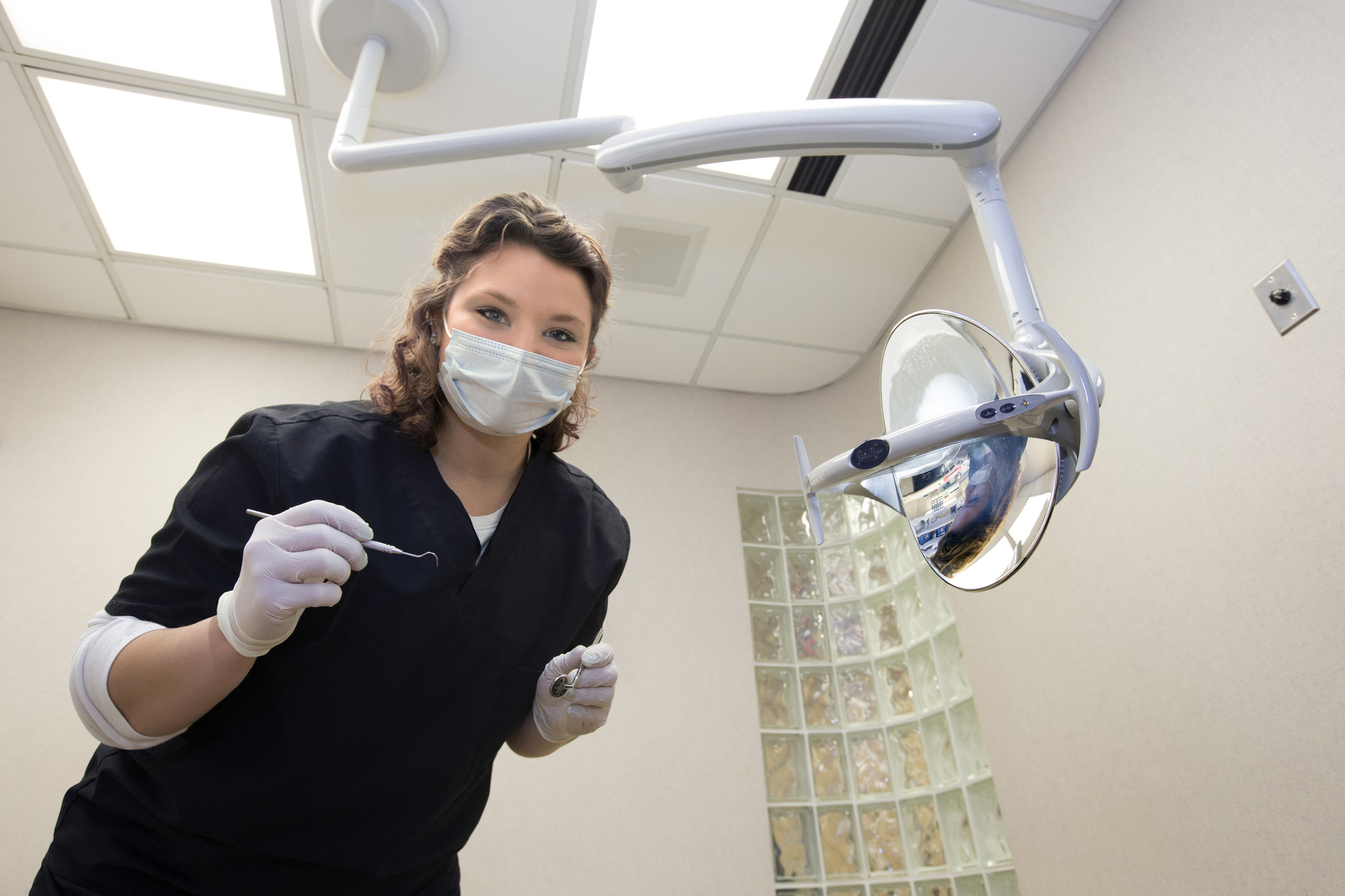 Pre-Dentistry