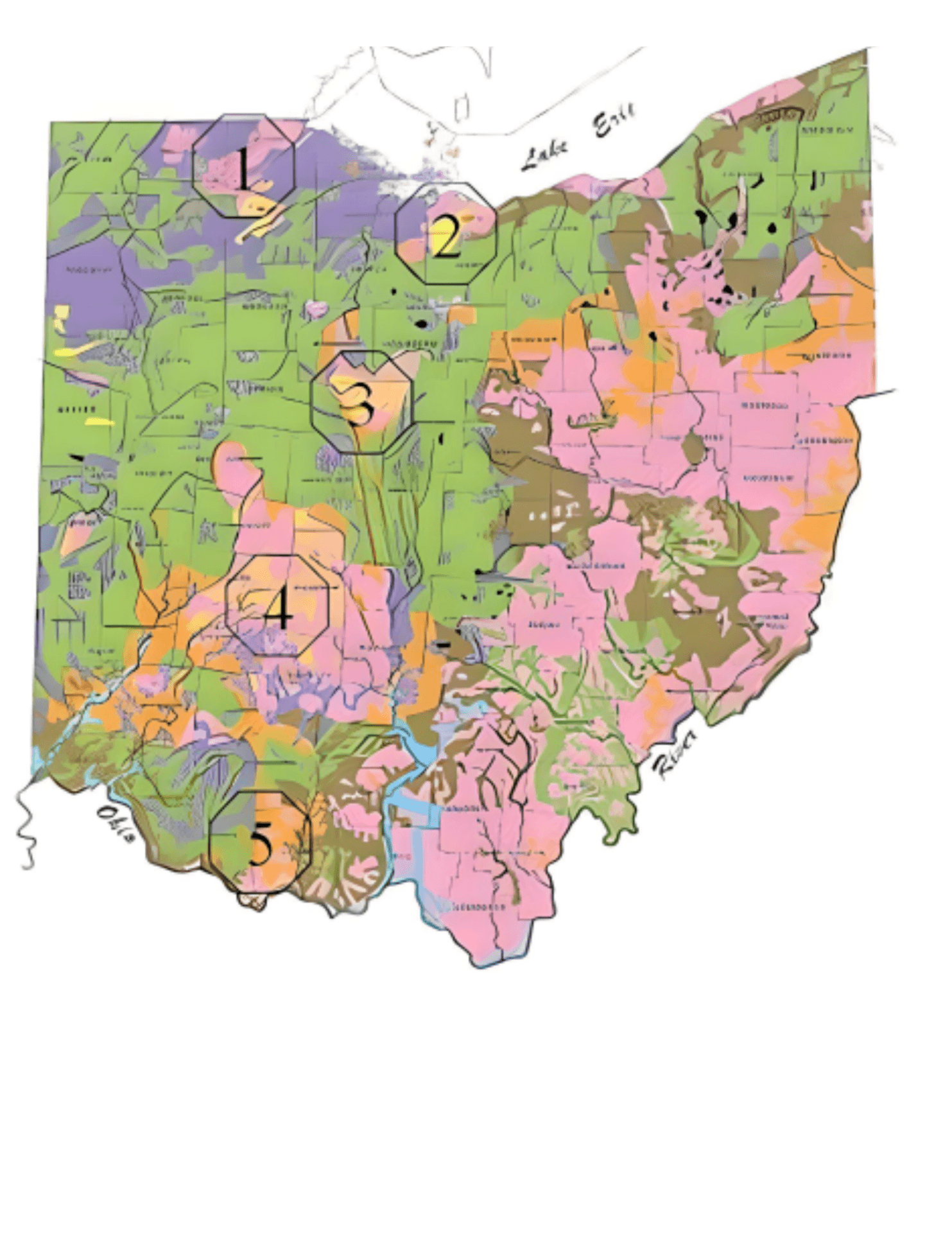 The BGSU Native Prairie Garden