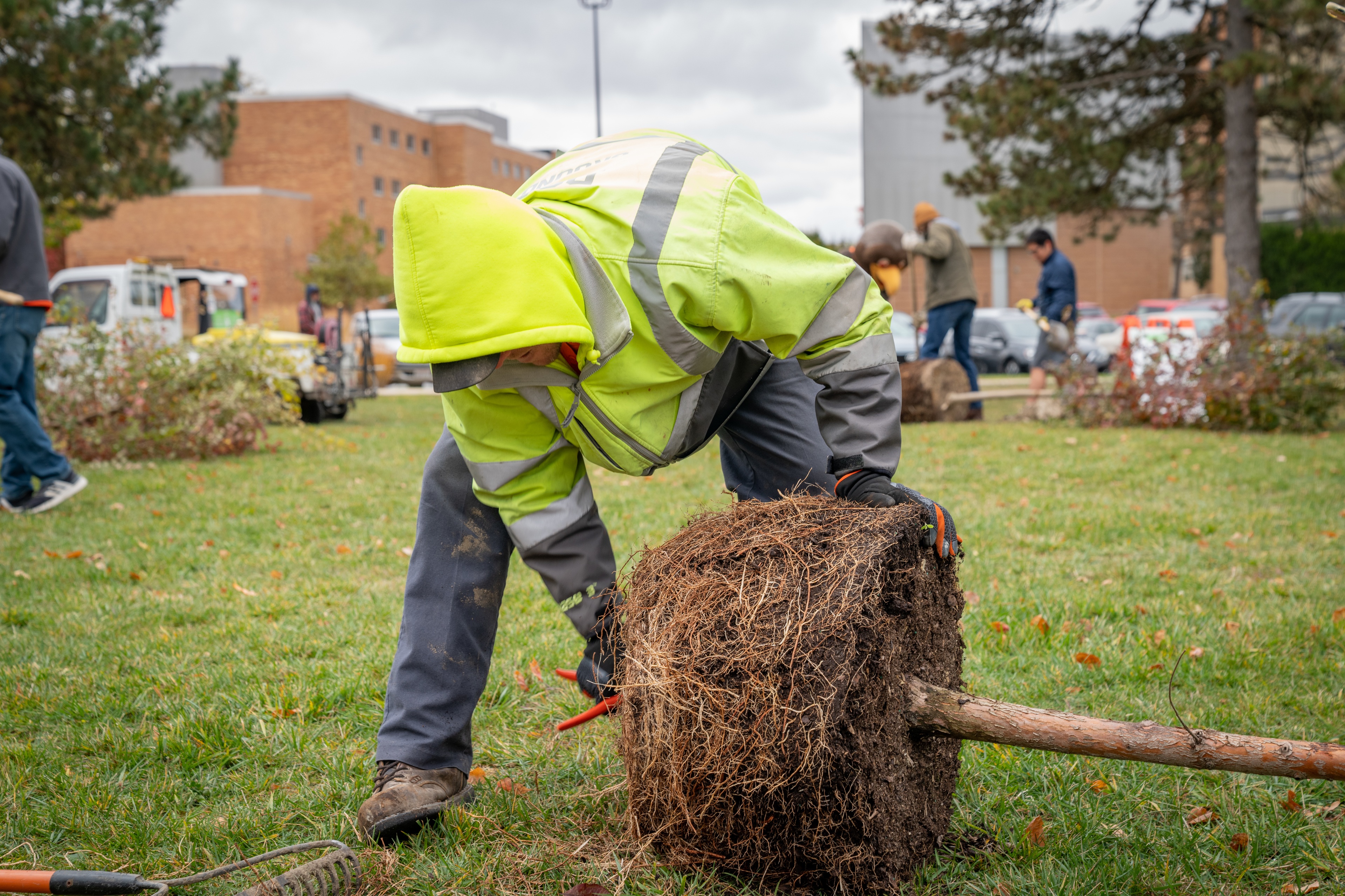 Sustainability Month