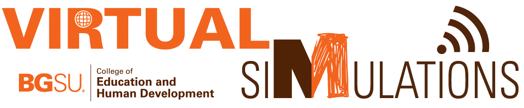 Virtual Simulation Applications Professional Development