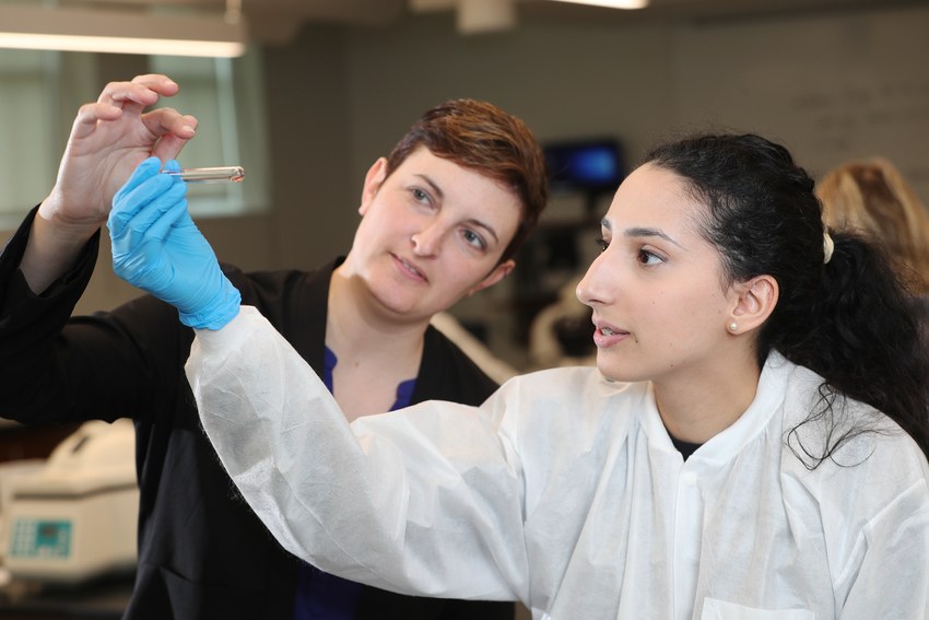 Medical Laboratory Sciences