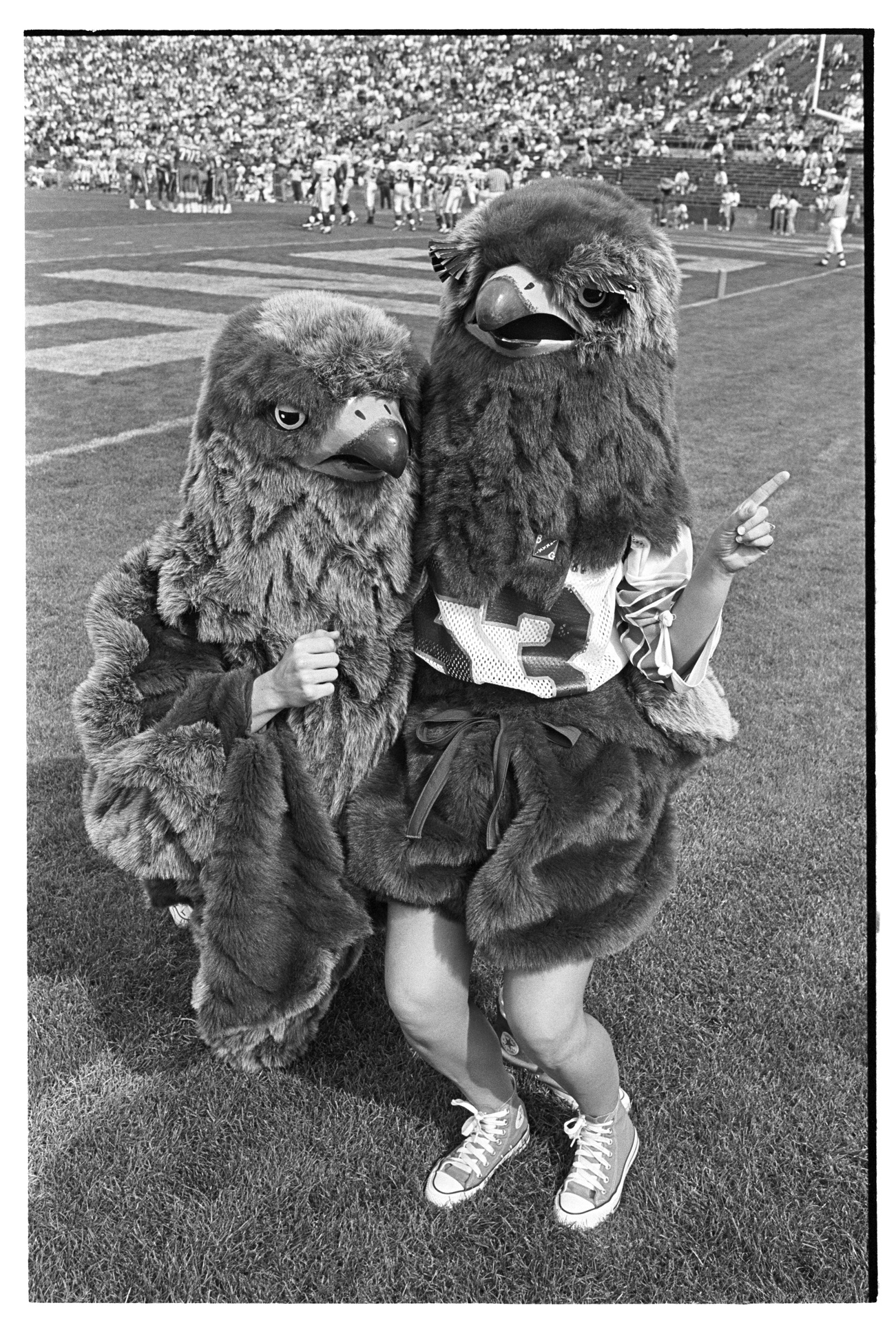 A Storied Tradition In Photos: SICSIC and Freddie and Frieda Falcon