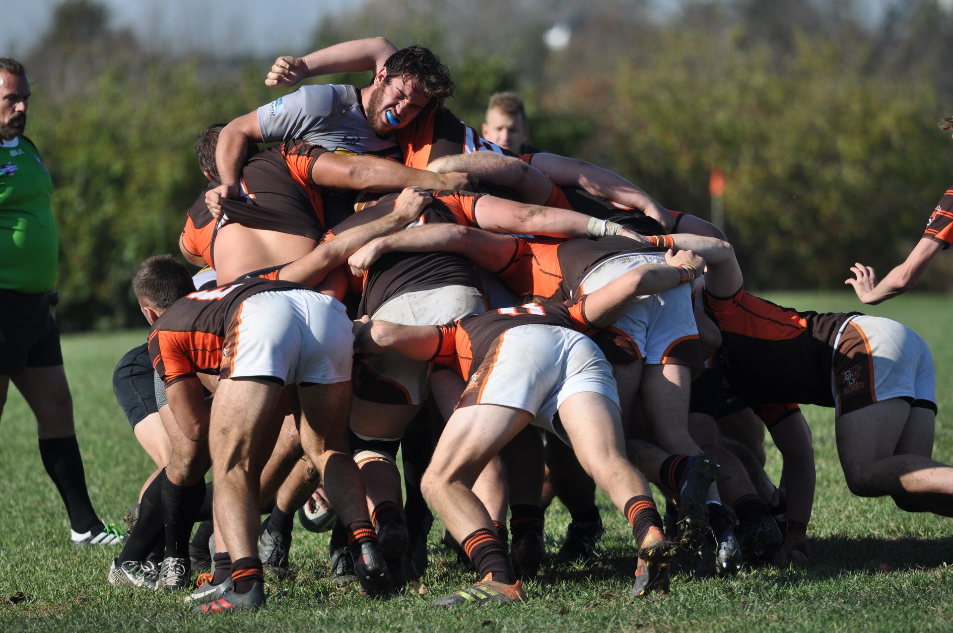 Four decades of championships: Rugby's 40-year streak