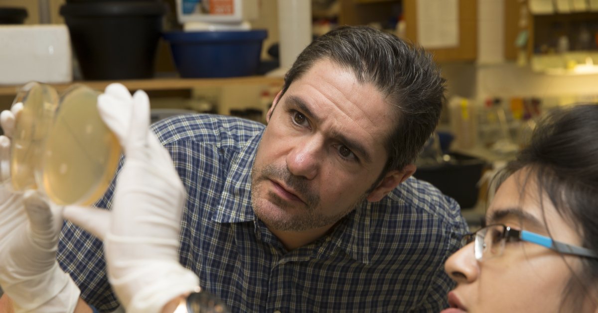 Deadly infections: BGSU professor leads research efforts in the fight ...