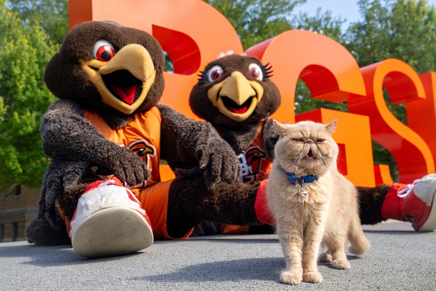 Feline frenzy at BGSU catapults Pudge the cat and George Carlson into ...