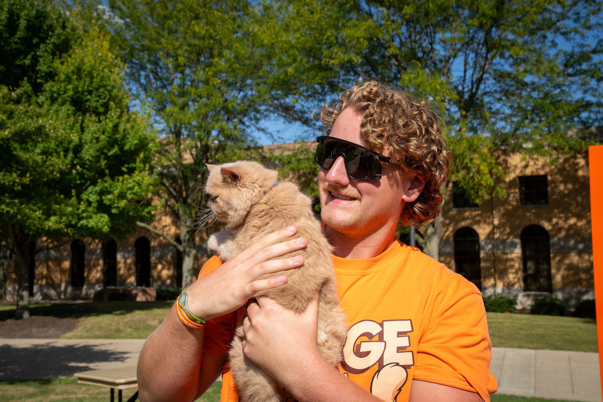 Feline frenzy at BGSU catapults Pudge the cat and George Carlson into ...