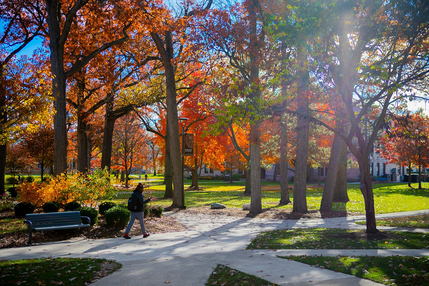 The Office of Admissions