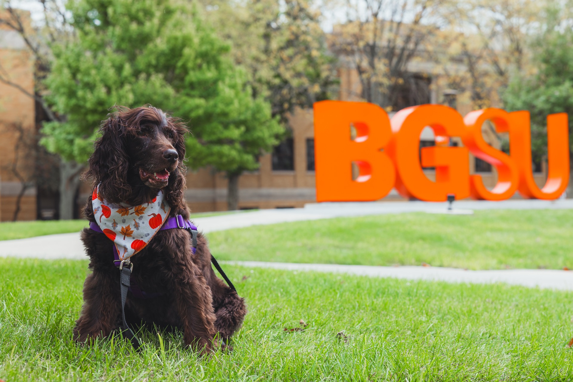 PAWS Therapy Dog Team