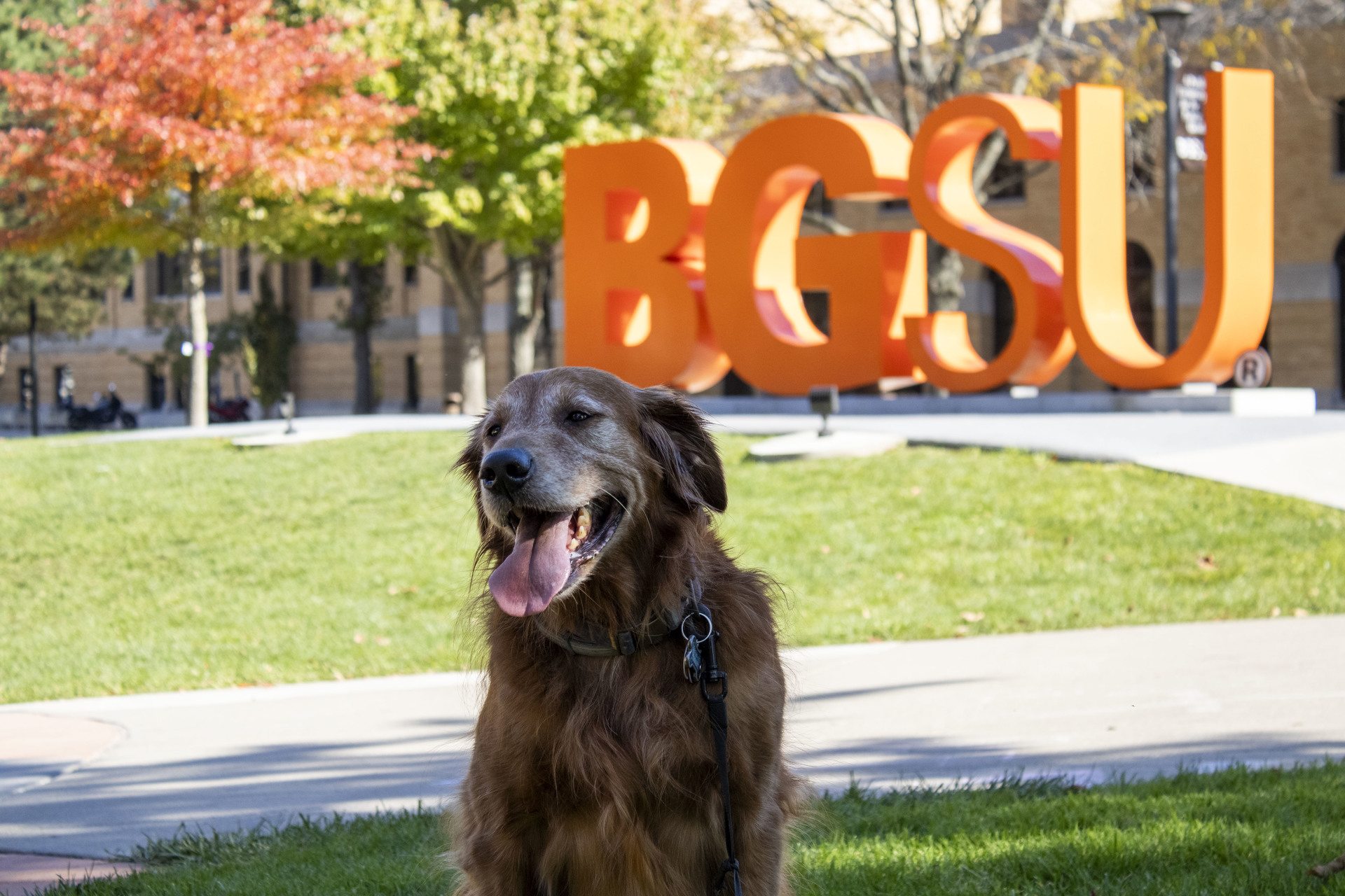 BGSU PAWS Therapy Dog Team